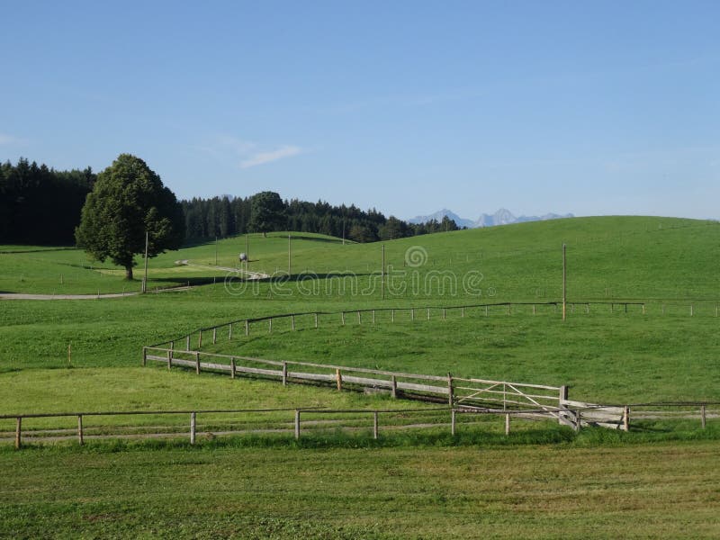 Grassland, Pasture, Field, Ecosystem Picture. Image: 117788423