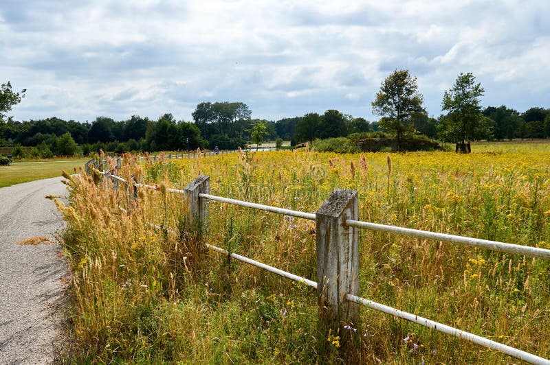 Grassland, Pasture, Field, Nature Reserve Picture. Image: 136081369