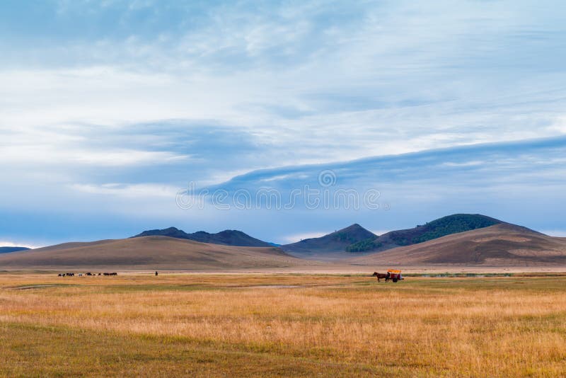 Grassland scene stock image. Image of mongolia, tourism - 51946279