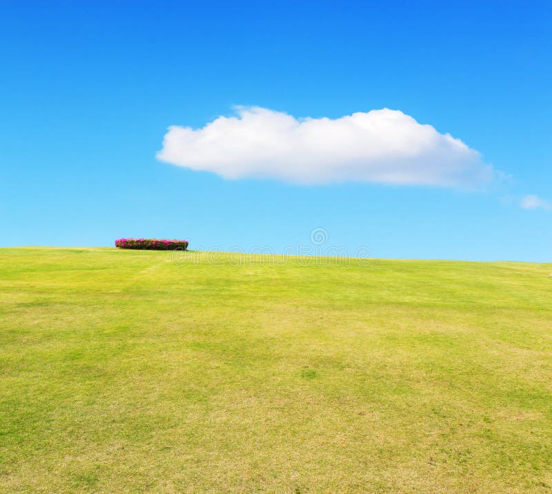 Sky, Grassland, Cloud, Ecosystem Picture. Image: 134860004