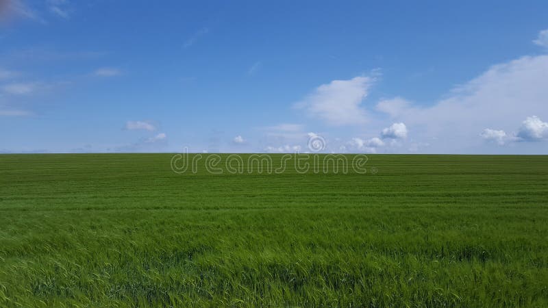Grassland, Sky, Field, Ecosystem Picture. Image: 134004902