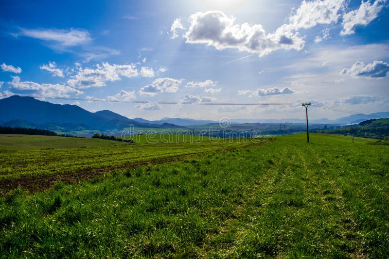 Grassland, Sky, Field, Highland Picture. Image: 119411887
