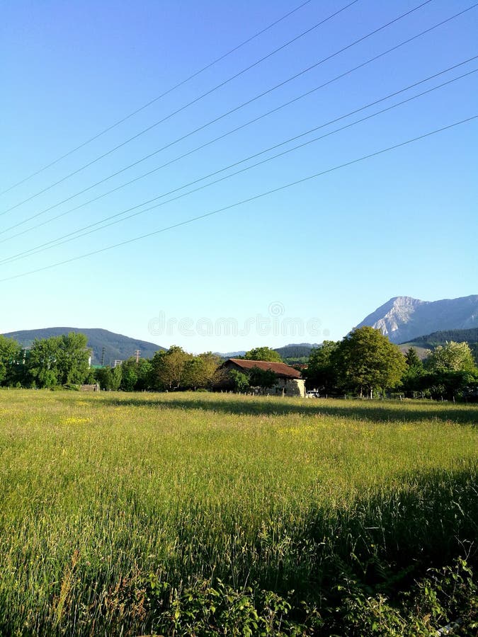 Grassland, Sky, Field, Plain Picture. Image: 117885212