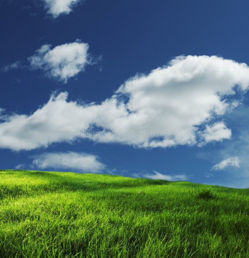 Grassland and sky stock photo. Image of outdoors, rain - 54171850