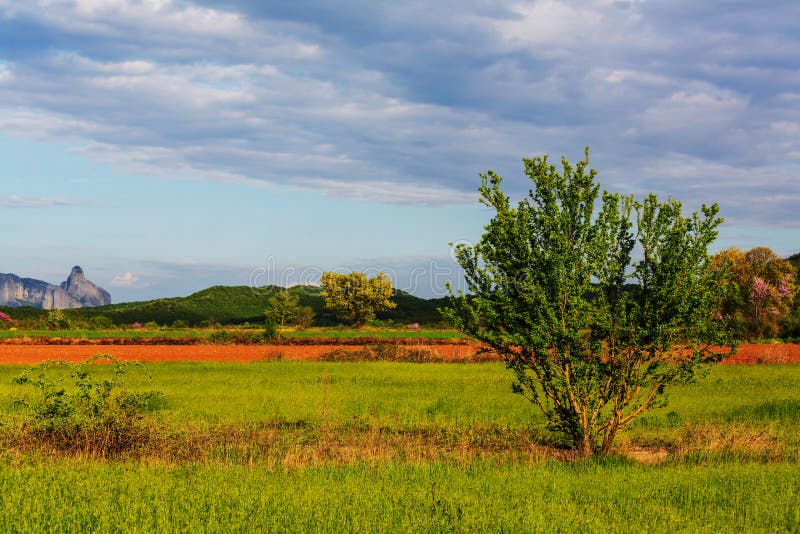 Spring grassland stock photo. Image of plant, spring, hill - 716440