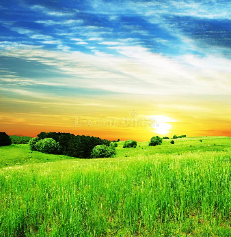 Grassland on sunset stock photo. Image of grass, meadow - 8093722