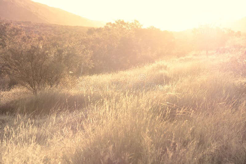 Grassland Sunset Stock Image Image Of Outback Bright 51284697