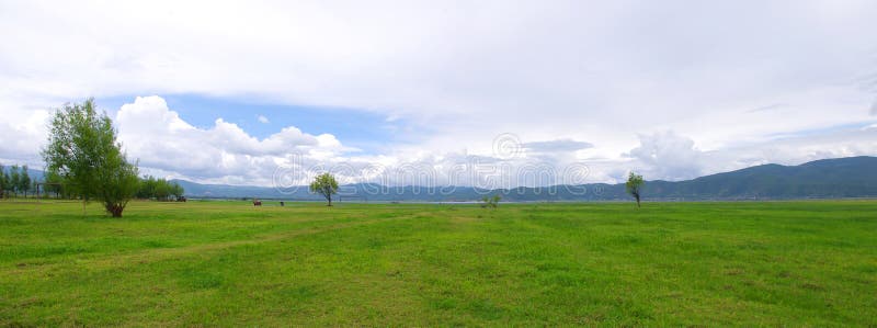 Grasslands stock photo. Image of landscape, rural, pasture - 20948378