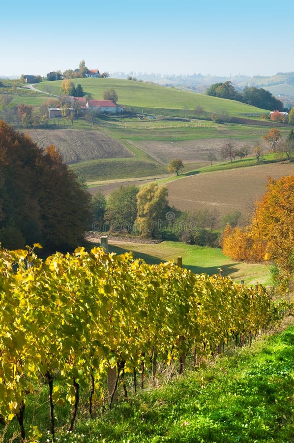 Grasslands Hills and Wineyards at Robaje - Croatia Stock Photo - Image ...