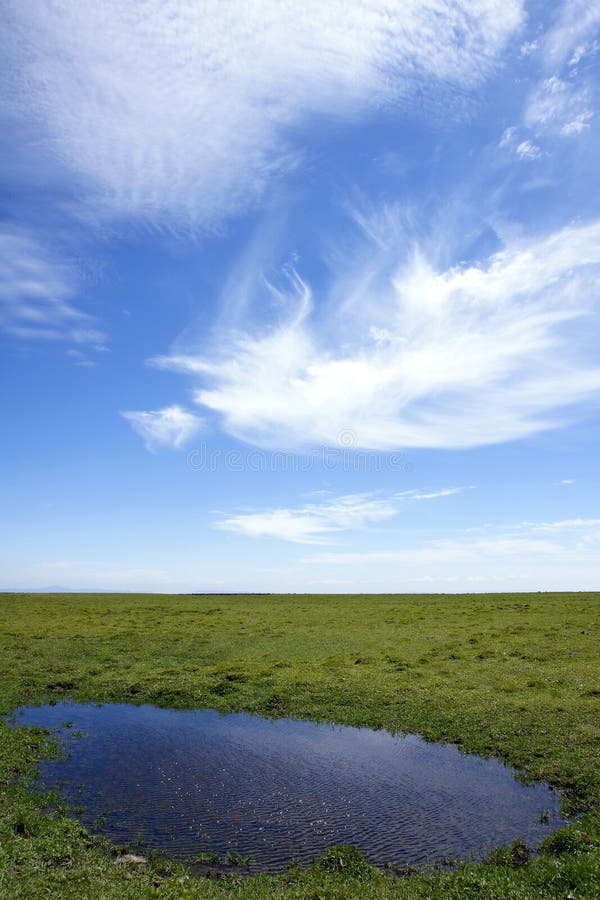 Grasslands scenery stock photo. Image of landscape, meadow - 21326372