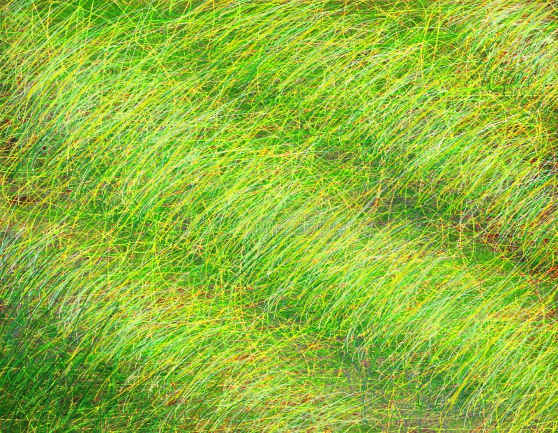 Grasslane stock photo. Image of flow, draw, comparison - 55056686