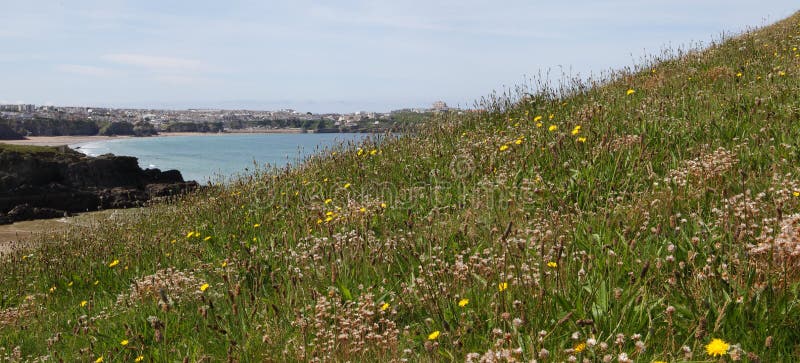 Grassy Bank with Ocean View Stock Photo - Image of tourism, cornish ...