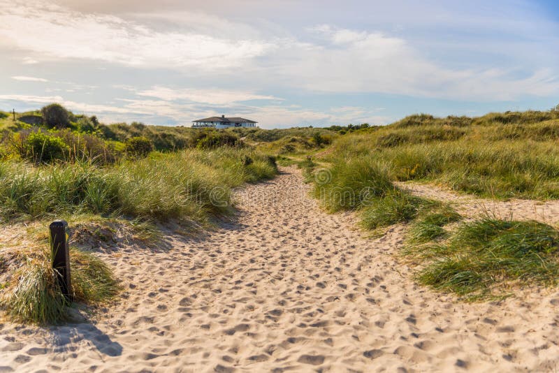 Grassy beach landscape stock photo. Image of clear, sunlight - 100595570