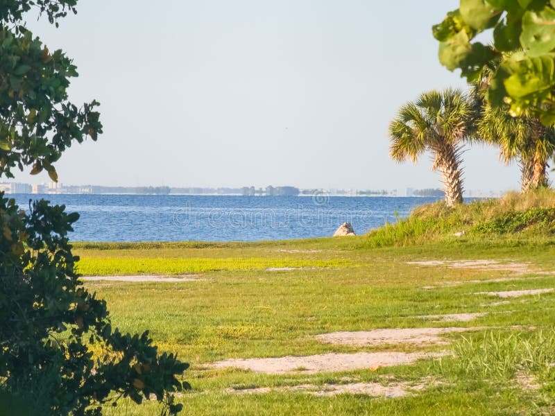 Grassy Beach Side stock photo. Image of grass, horizon - 247120338
