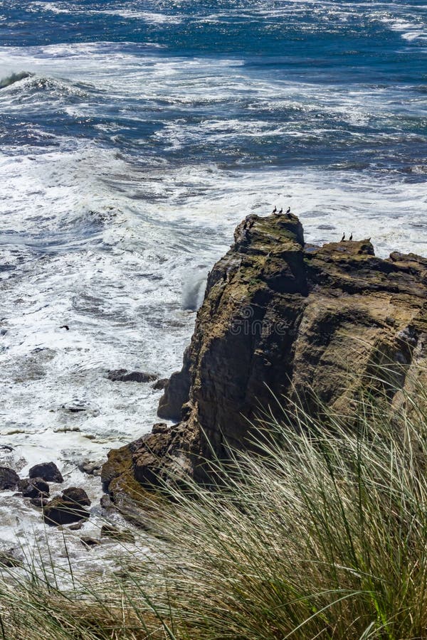 Grassy Cliff Overlooking Water Stock Image - Image of horizon, island ...