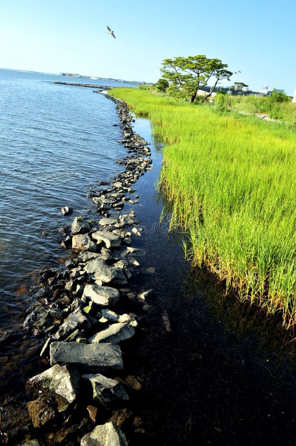 Grassy Coast Line with Rock Barrier Stock Photo - Image of vegetation ...