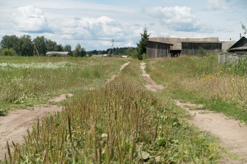 Grassy country road stock photo. Image of dirt, agriculture - 317802018