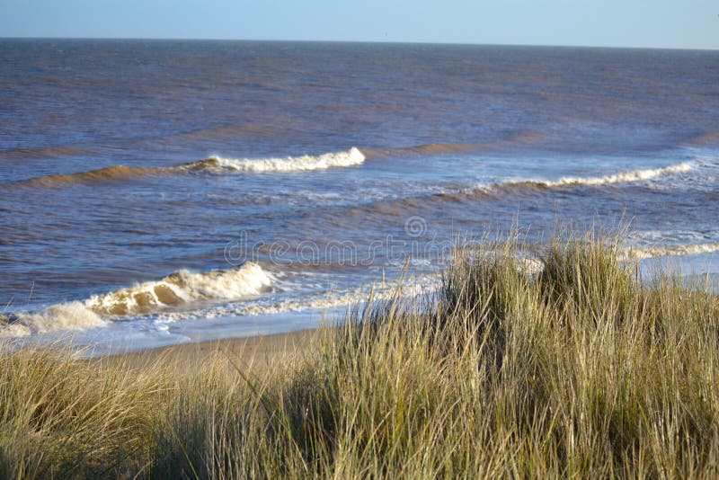 Grassy Dunes Overlooking Beach and Sea Stock Image - Image of grassy ...