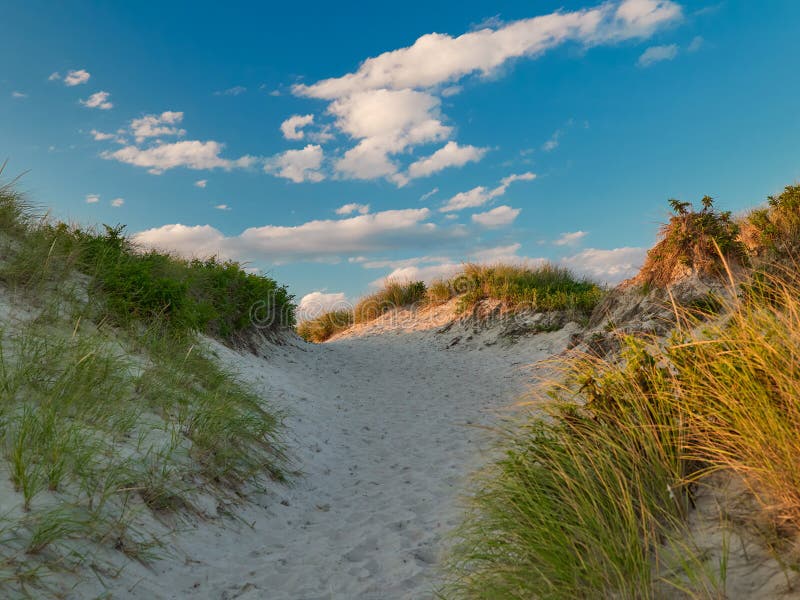 Grassy Dunes Pathway of Sand Stock Photo - Image of plateau, landscape ...