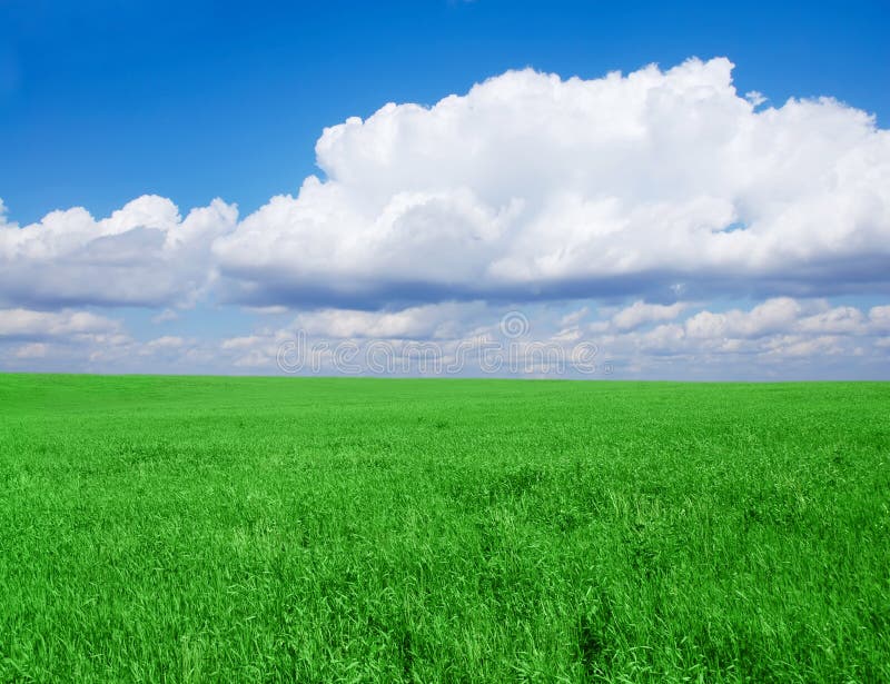 Grassy field stock image. Image of horizon, meadow, landscape - 9455931
