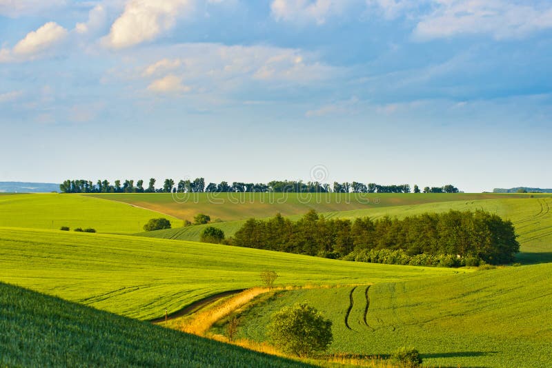 Grassy field stock photo. Image of afternoon, hills, dawn - 37159298