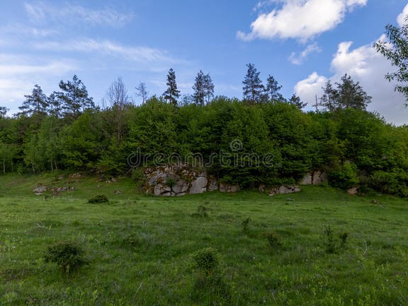 A Grassy Field with Trees and Rocks in the Background Stock Photo ...