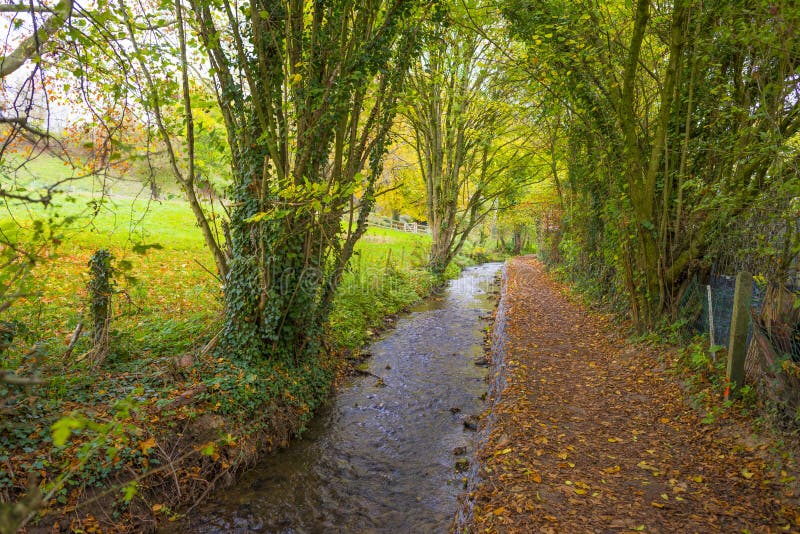 Grassy Green Edge Of A Stream Through A Small Village In Bright Sunlight At Fall Voeren