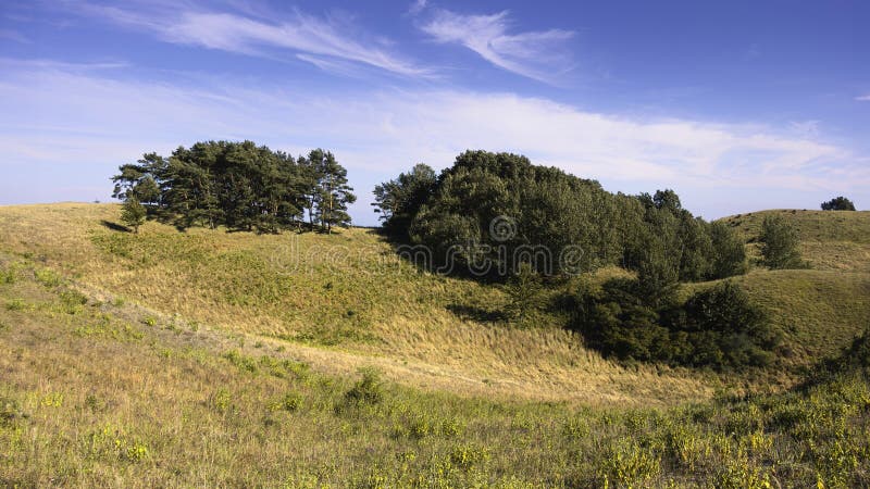 A Grassy Hill with Trees on Top of it Stock Image - Image of summer ...