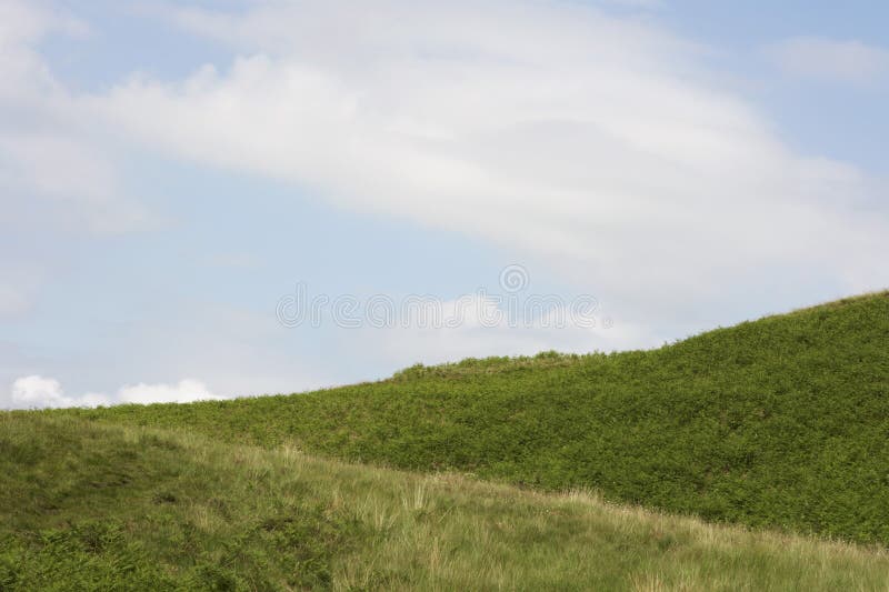 Grassy hillside stock photo. Image of rural, scene, scenic - 30846954