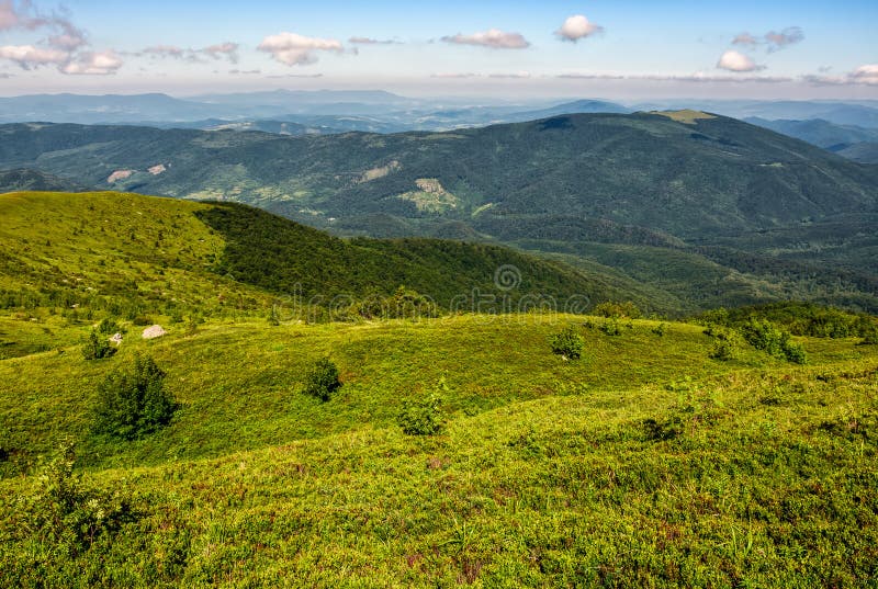 Grassy Hillside of Carpathian Mountain Range Stock Image - Image of ...