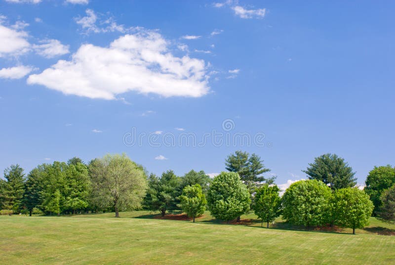 Grassy Hillside Landscape stock image. Image of remote - 5658179