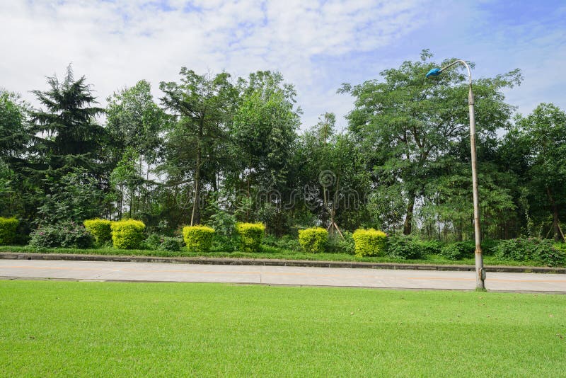 Grassy Lawn Along Road on Hillside in Sunny Autumn Stock Image - Image ...