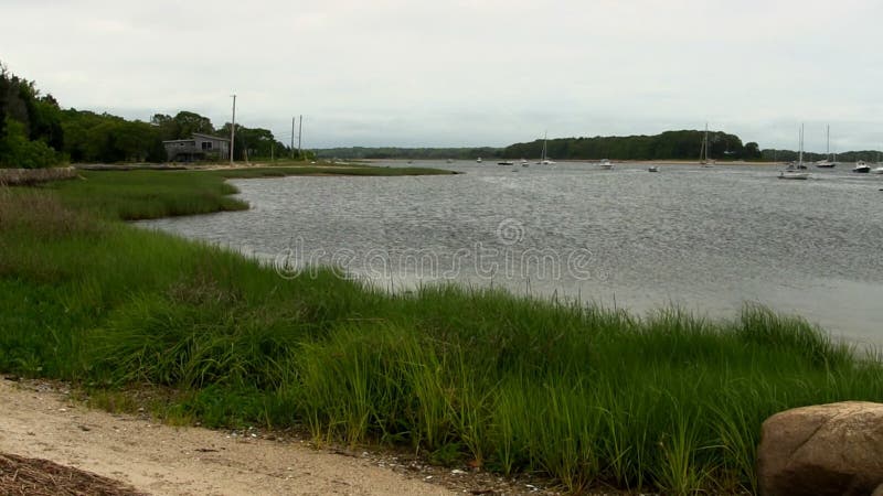 Inland Cove Shoreline Cape Cod Stock Video - Video of maritime, inlet ...