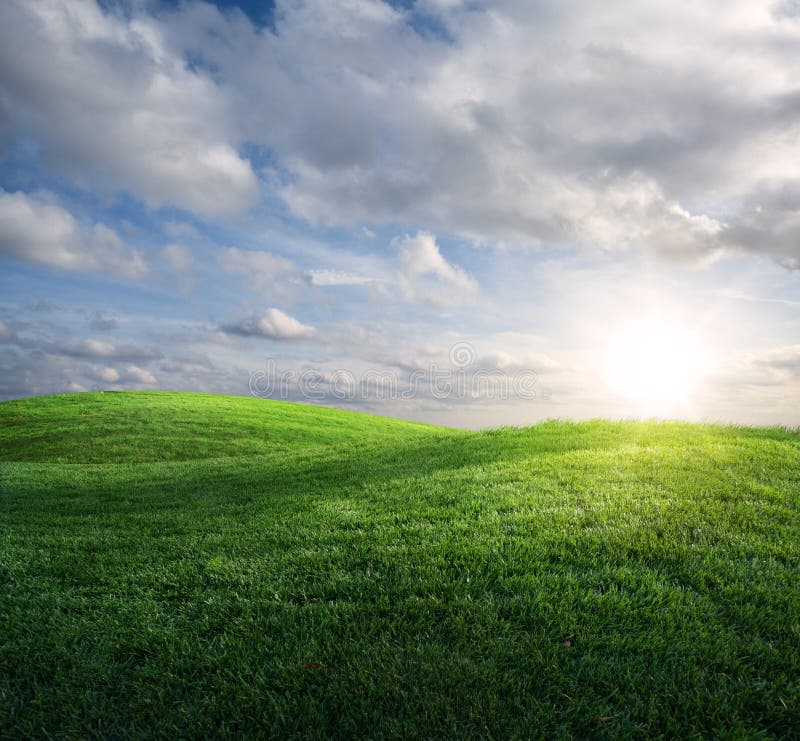 Grassy meadow stock photo. Image of field, hills, valley - 37494262