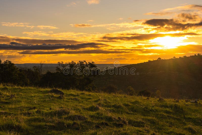 Grassy Meadow at Dusk Illuminated by the Golden Rays of the Setting Sun ...