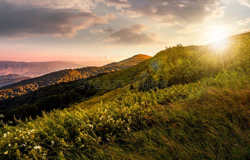 Grassy Meadow on a Hillside at Gorgeous Reddish Sunset Stock Photo ...