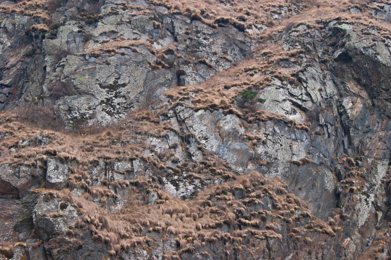 Grassy Mountain Autumn Texture Stock Image - Image of outdoors ...