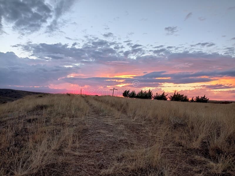 Grassy Mountain Field at Sunset Stock Image - Image of cloudy, field ...