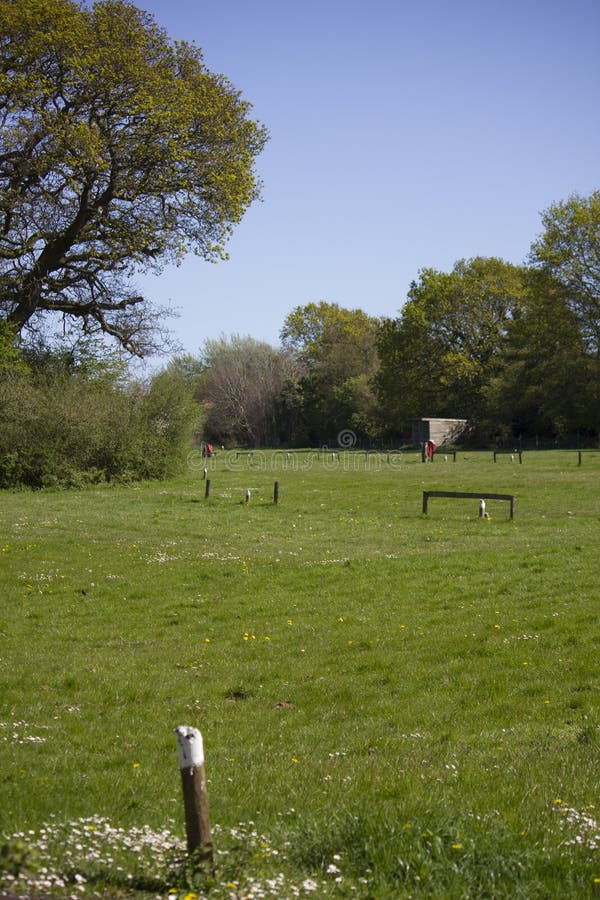 Grassy outside open space stock image. Image of peaceful - 51330083