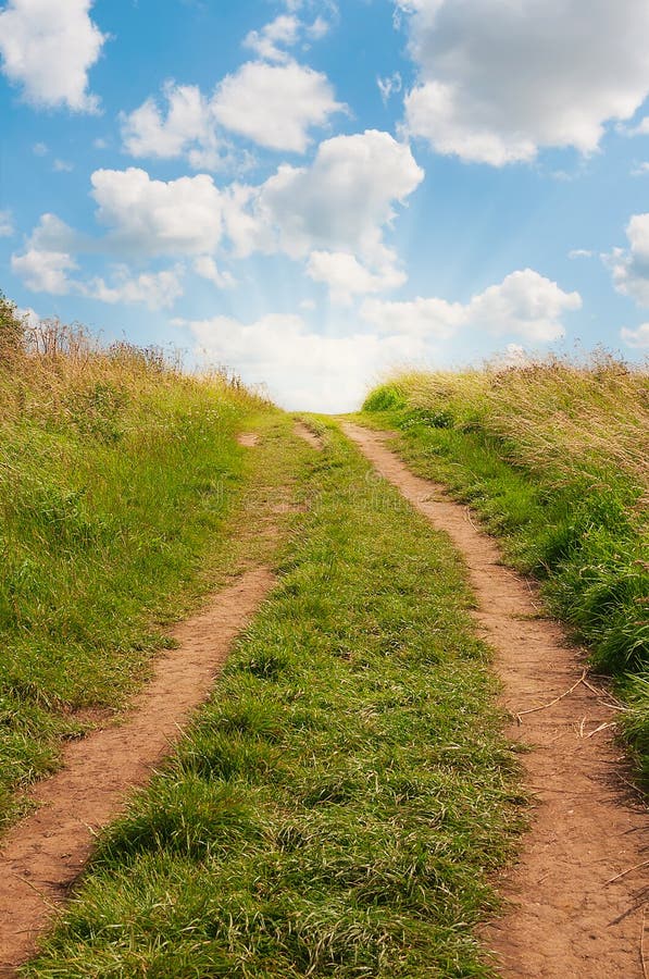 Grassy Track Leading Up Steps Stock Photo - Image of terrain, upward ...