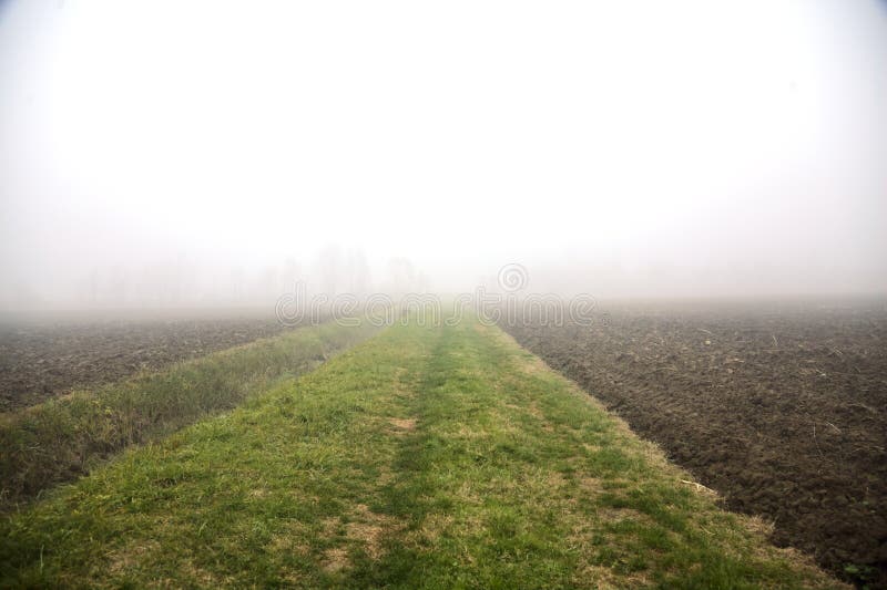 Grassy Path between Fields on a Foggy Day in Winter Stock Photo - Image ...
