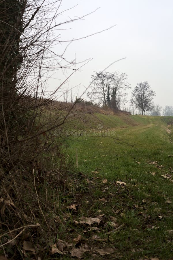 Grassy Path in a Grove that Borders an Embankment on a Cloudy Day in ...