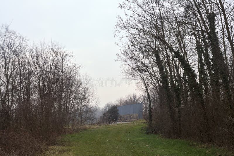 Grassy Path in a Grove that Borders an Embankment on a Cloudy Day in ...