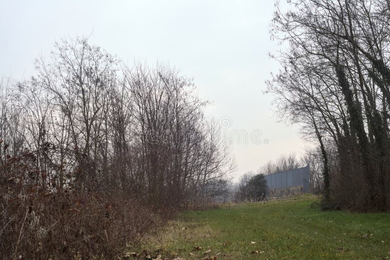 Grassy Path in a Grove that Borders an Embankment on a Cloudy Day in ...