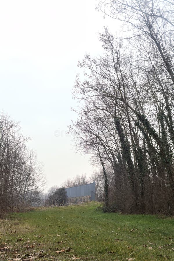 Grassy Path in a Grove that Borders an Embankment on a Cloudy Day in ...