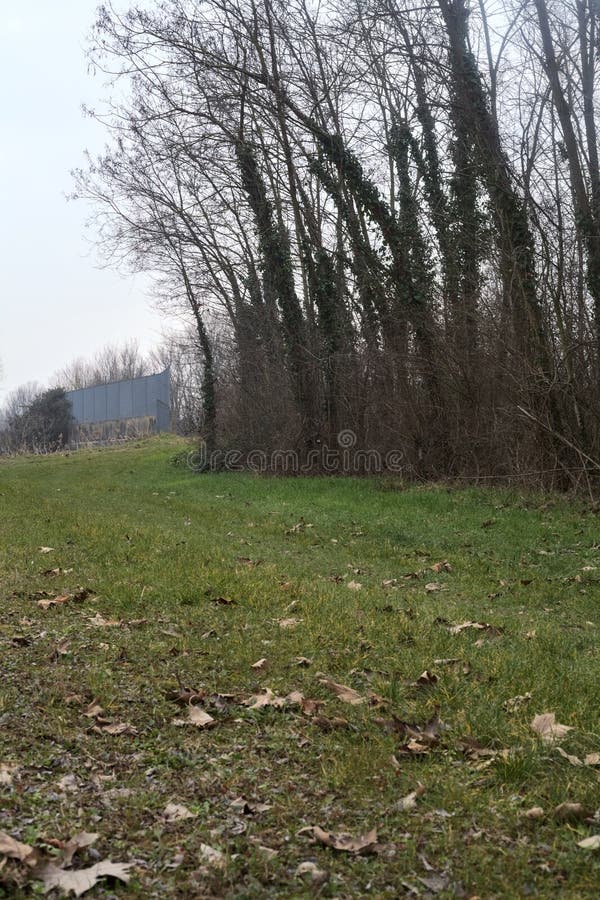 Grassy Path in a Grove that Borders an Embankment on a Cloudy Day in ...