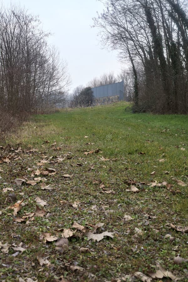 Grassy Path in a Grove that Borders an Embankment on a Cloudy Day in ...