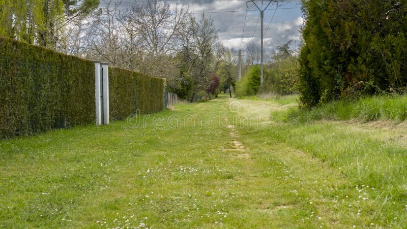Grassy Path, Hedge on the Side and Tree in the Distance, on a Cloudy ...