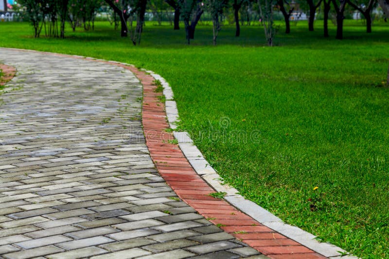 Grassy path stock photo. Image of environmental, beautiful - 125389264