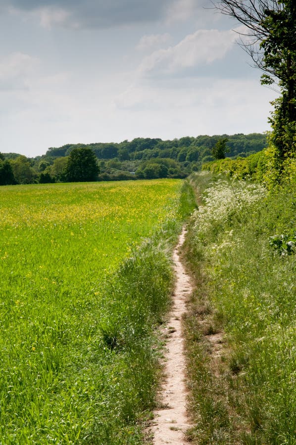 Grassy pathway stock photo. Image of sunny, rambling - 72249498